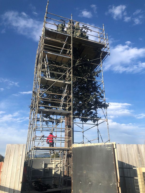 System Scaffolding - Rolls Scaffold